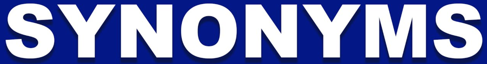 Dynamic Duo Synonym: Alternative Terms and Phrases – Name That Term