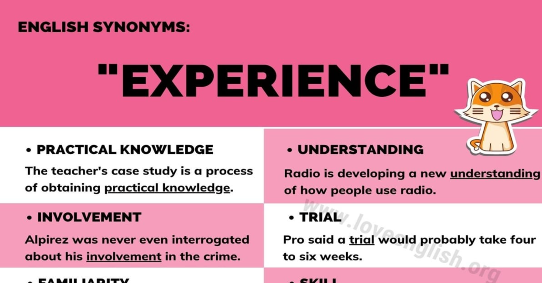 Extensive Experience Synonym for Resume – Name That Term